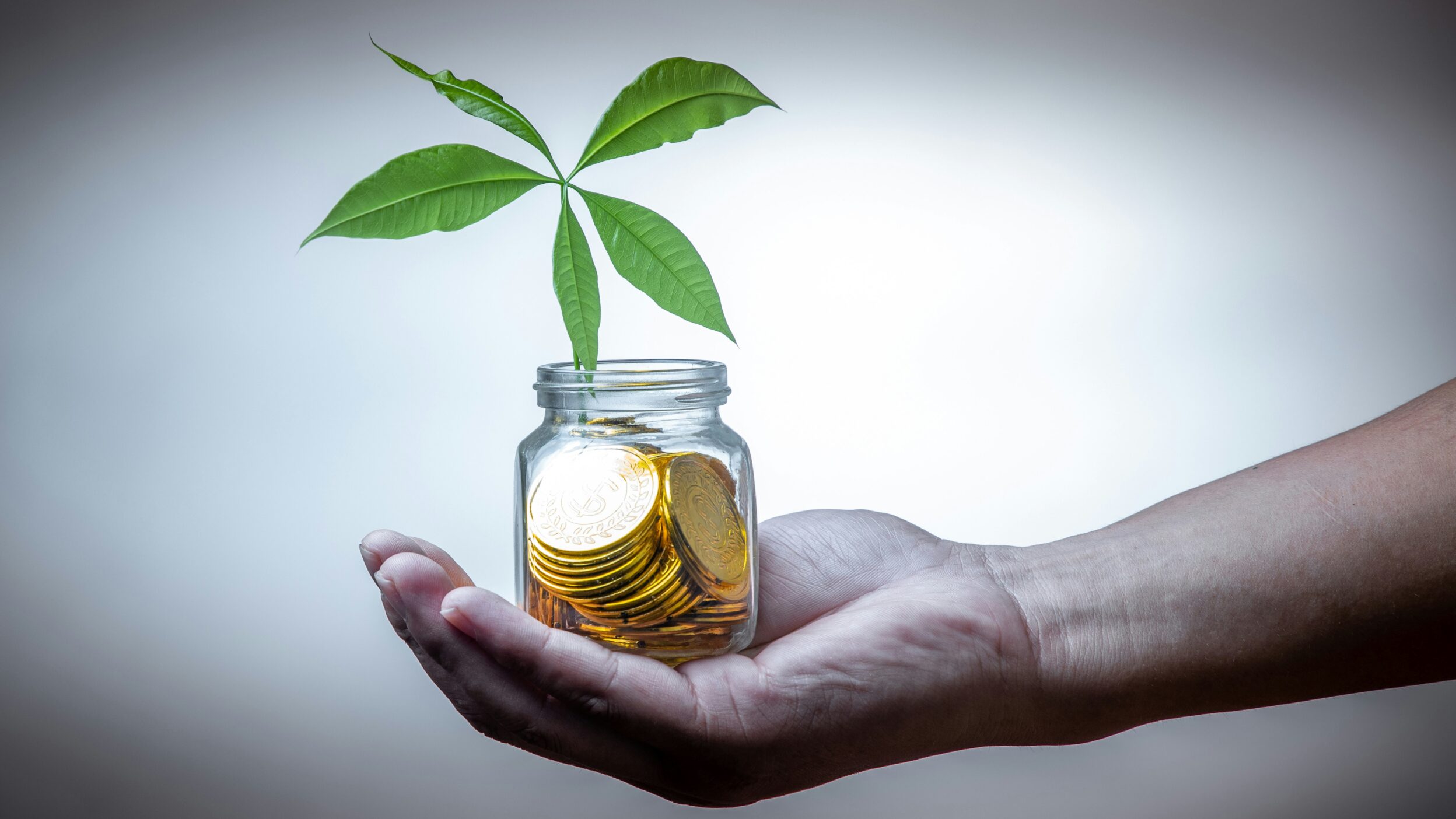 Top 8 stocks to Invest in India! - Gale.in